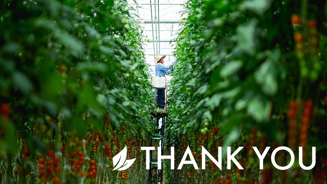 Thank You to The Farm Workers – The Fresh Food Heroes - YouTube