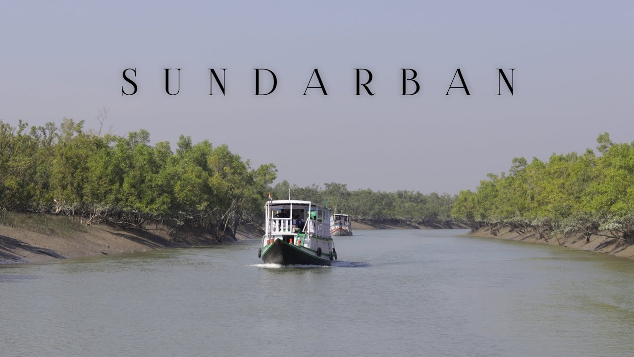 India's Largest Mangrove Forest - SUNDARBAN - YouTube