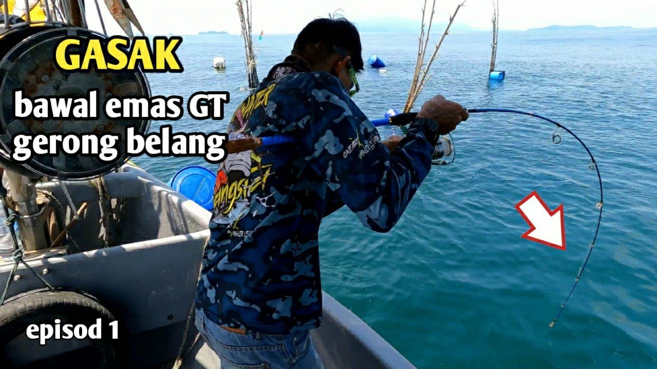 gasak ikan bawal emas GT gerong belang.tuas man jawa macam macam ada ...