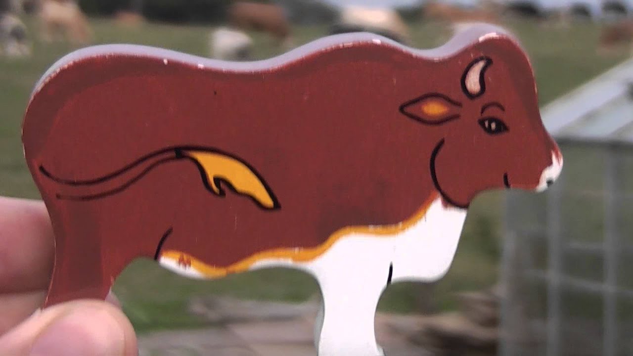 A film to show the the difference between real and pretend cows. - YouTube