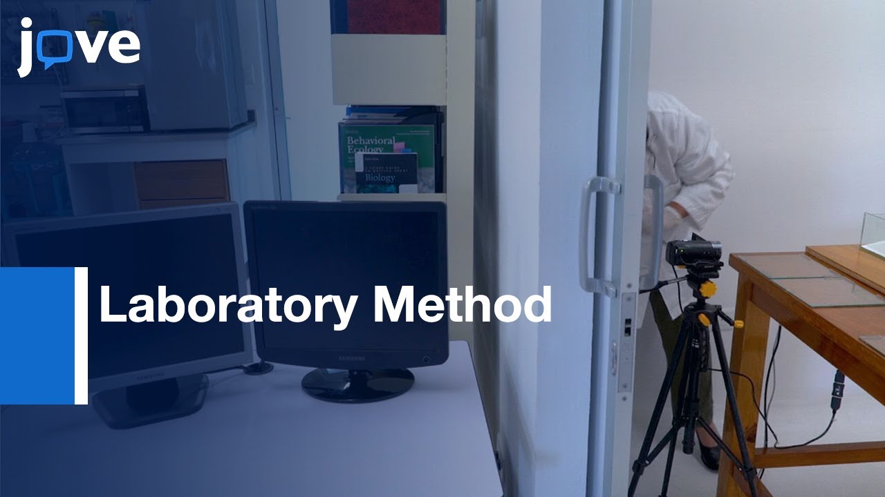 Laboratory Method To Measure Contagious Yawning In Rats l Protocol ...