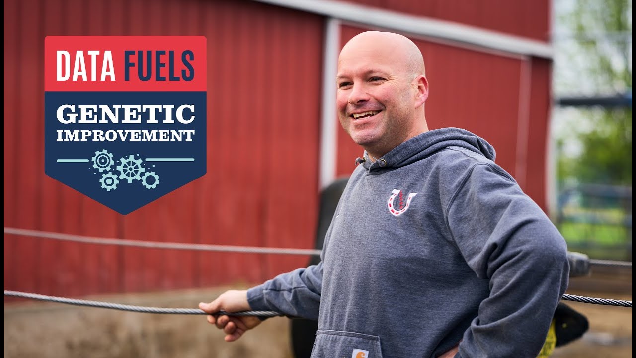 Data Fuels Genetic Improvement – Joe Engel, Illinois - YouTube