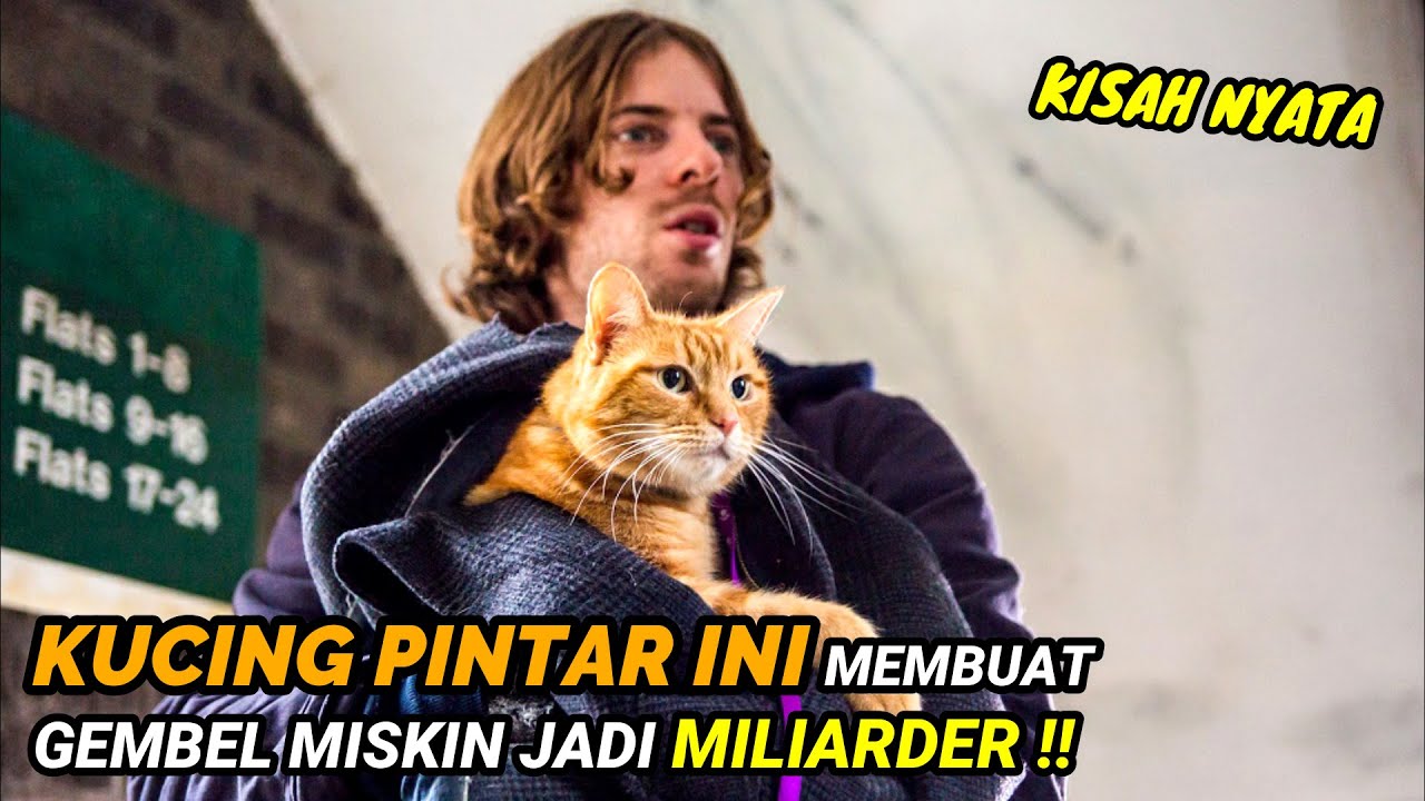 SI KUCING LUCU YANG MEMBUAT GEMBEL MISKIN MENJADI KAYA RAYA - Alur ...