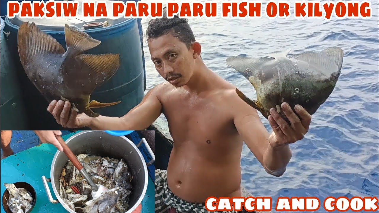 Catch and Cook Paksiw na Paru Paru Fish or Kilyong sa West Philippine ...