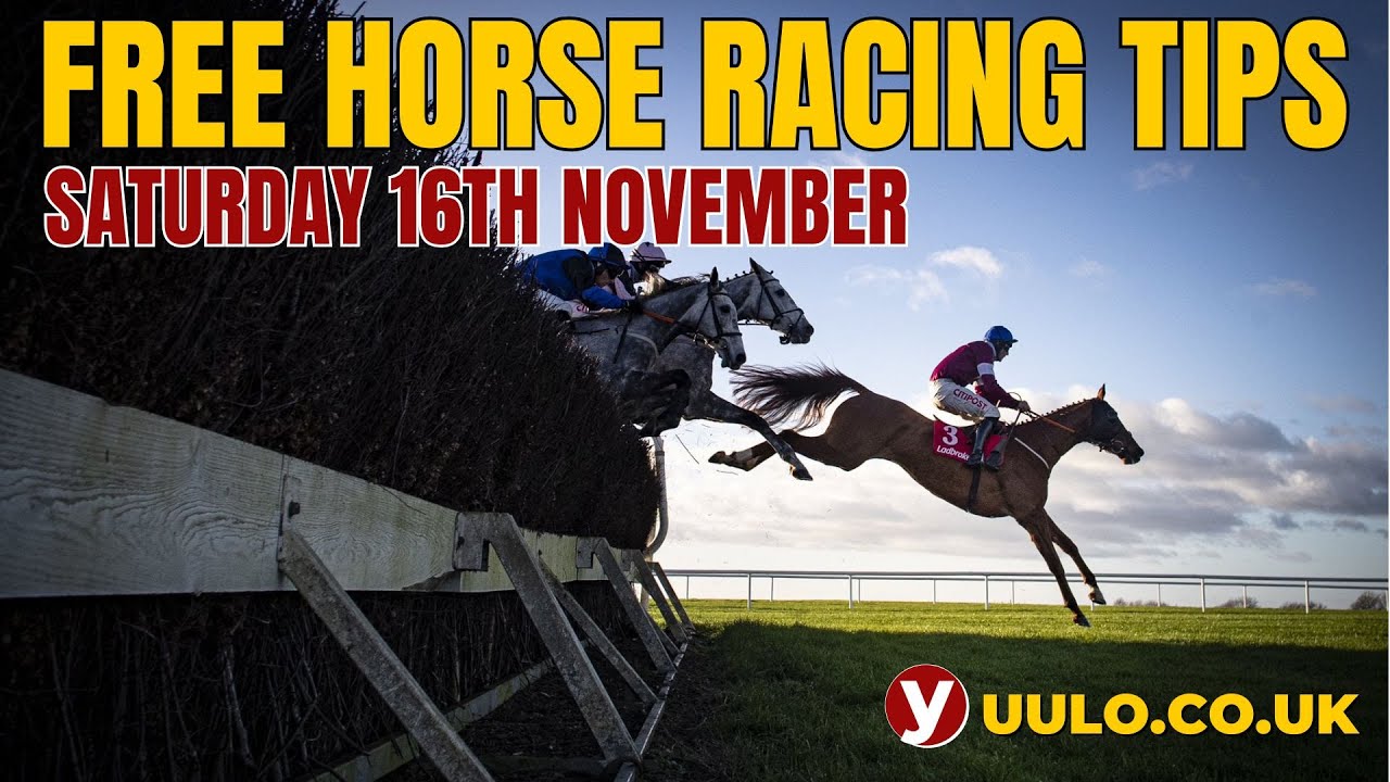 NAP & NB 🏇The Mandarin’s Cheltenham Racecard for Saturday 16th November ...