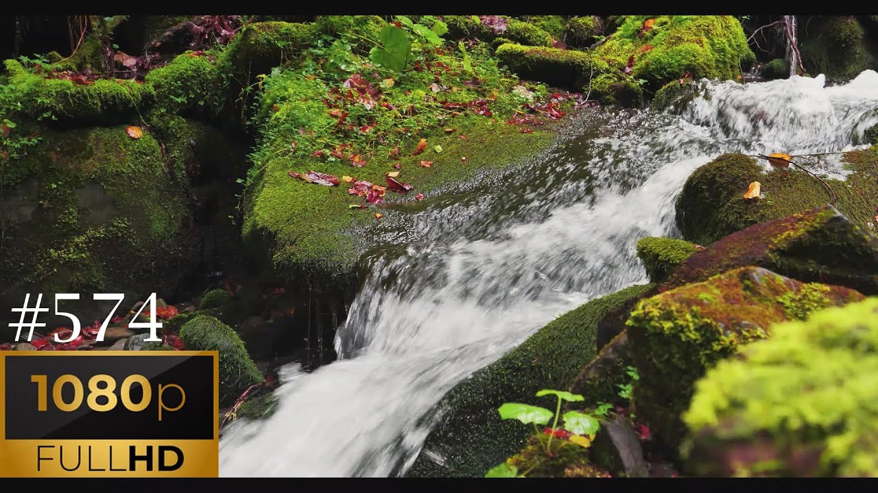Full HD Waterfall - 1 HOUR Of A Little Waterfall - Relax/Sleep/Study ...