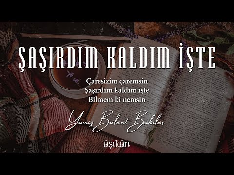 Şaşırdım Kaldım İşte - Yavuz Bülent Bakiler (Kendi Sesinden)