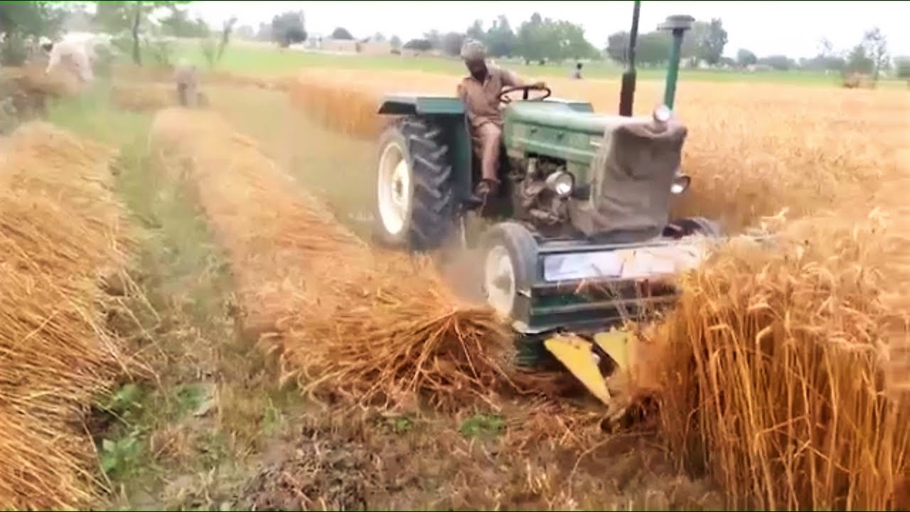 NH 480 Tractor Wheat Cutter / Front Reaper / Wheat Harvesting - YouTube