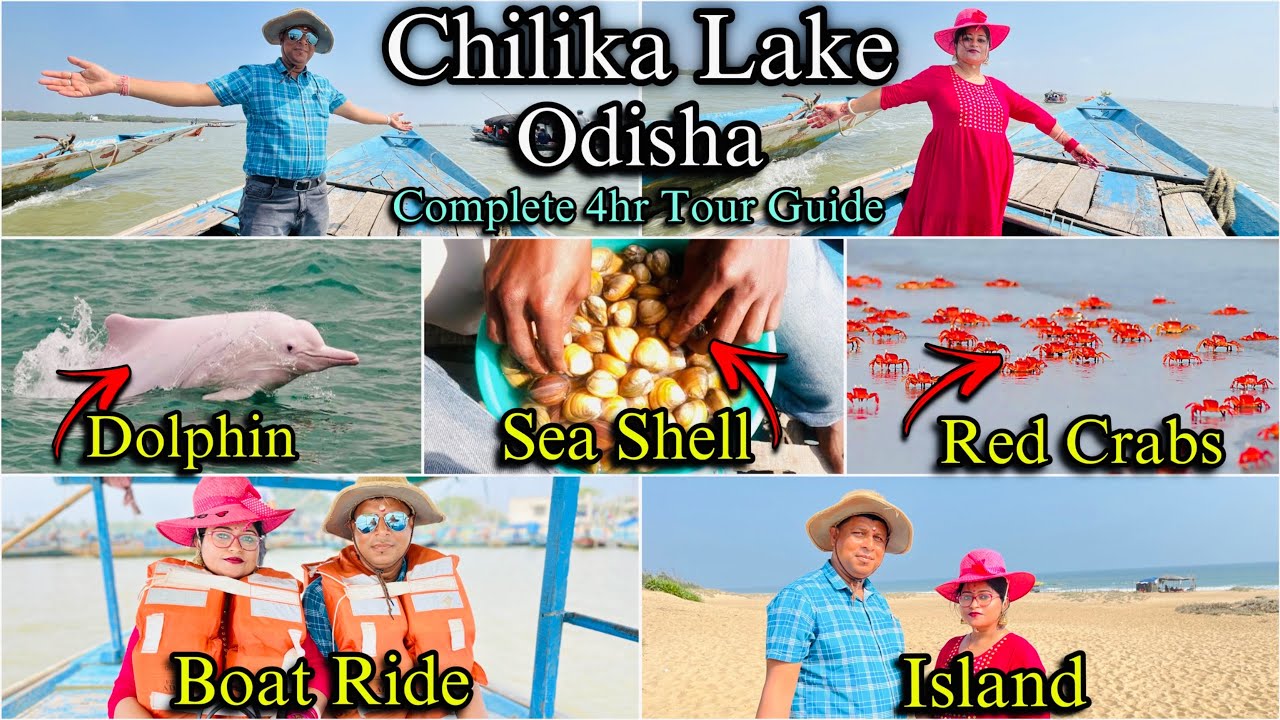 Chilika Lake Complete Tour ⛵| Dolphin 🐬 | Red Crab 🦀 | Sea Shell 🐚 | Siberian Birds 🦩 | Island 🏖 ...