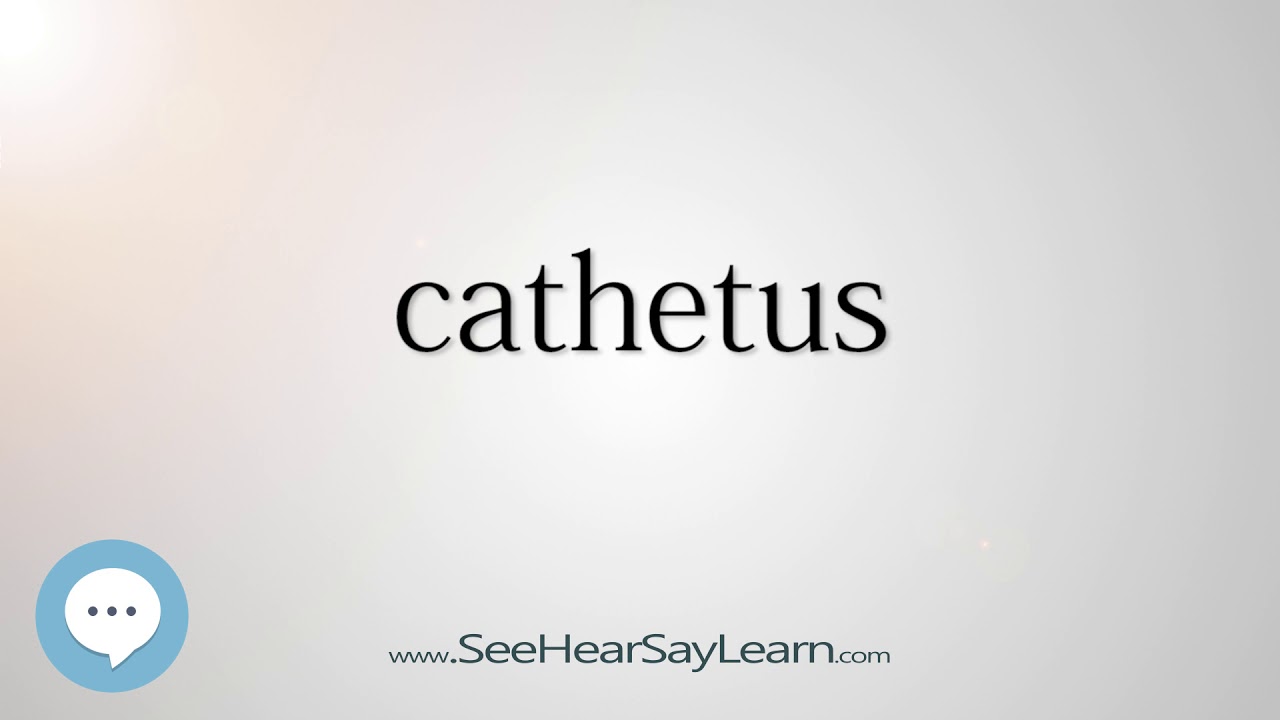 cathetus - YouTube