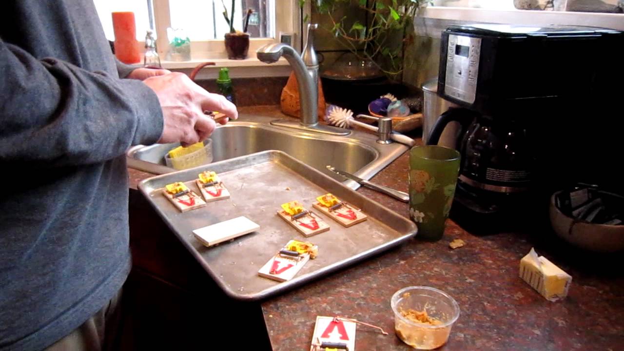 snappy snax - YouTube