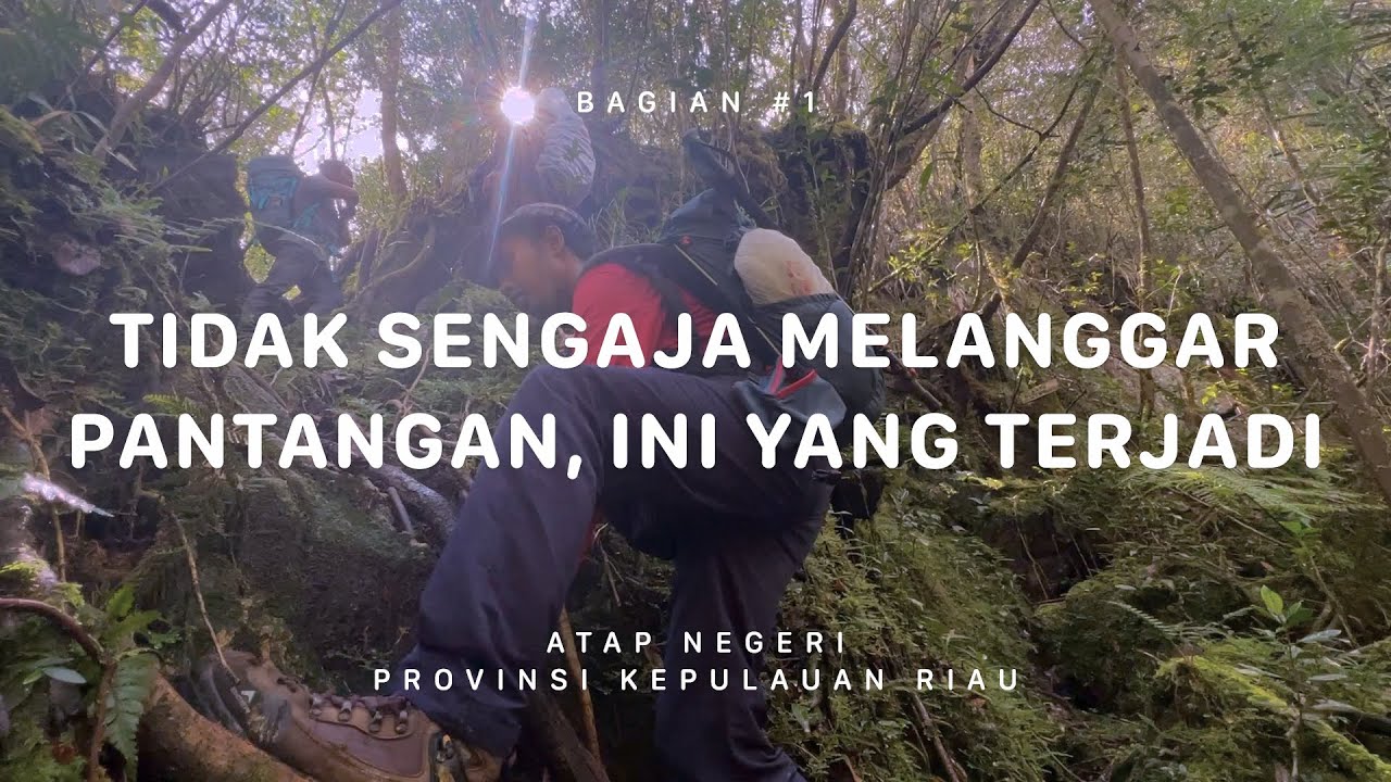 GUNUNG DAIK ( dan Sepincan ) - Atap Negeri Kepulauan Riau #1 - YouTube