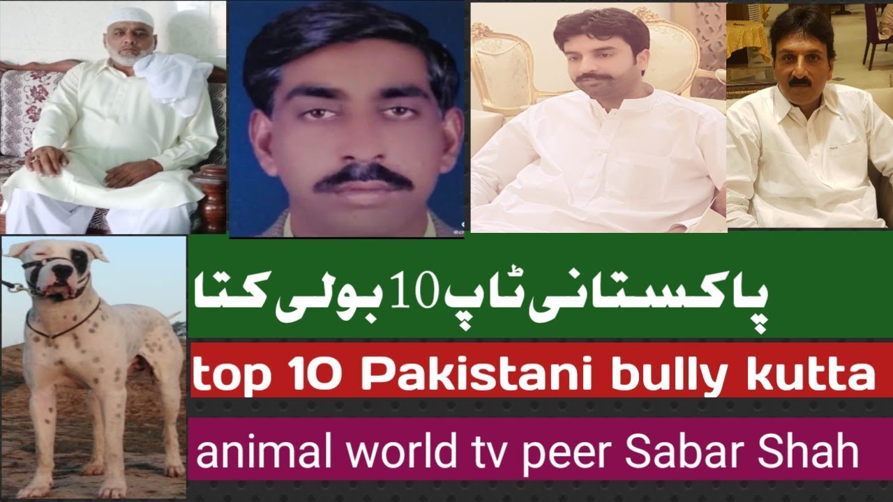 Dog name nukra | Pakistani top 10 bully kutta | top level dogs breeds # ...
