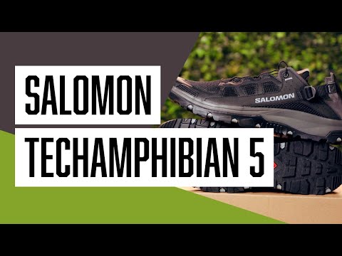 Salomon Techamphibian 5 Review – The Best Water Shoe for Hiking?