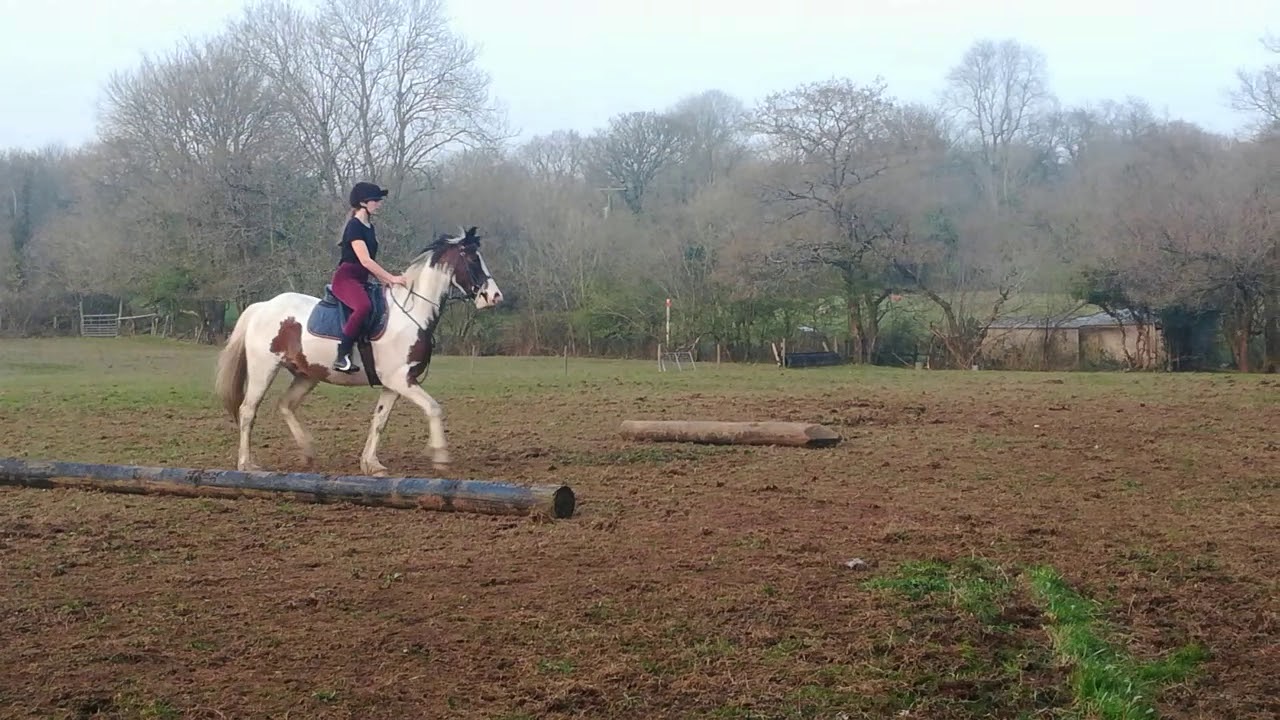 Jessica and Taffy - canter poles - YouTube