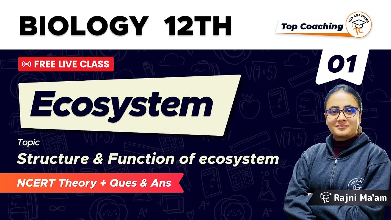Ecosystem | Class 12 Biology Chapter 14 | Part 1| Structure and ...