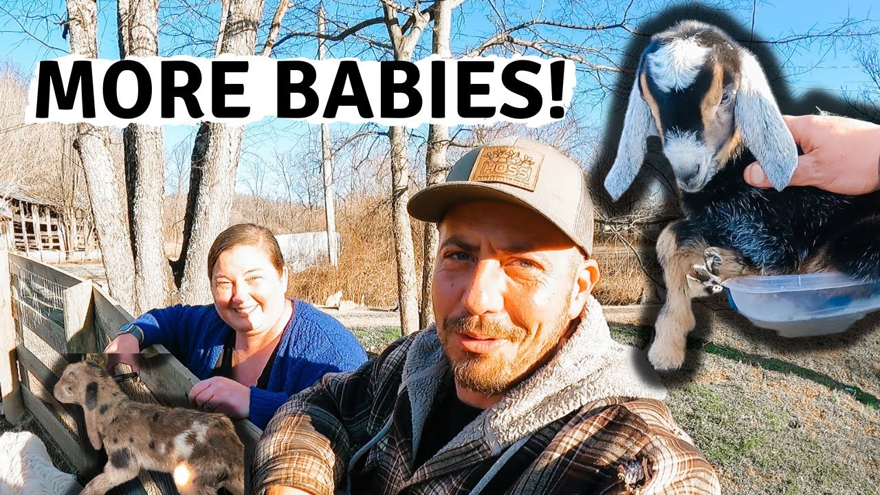 ANOTHER Set Of Triplets | This Is Unbelievable! - YouTube