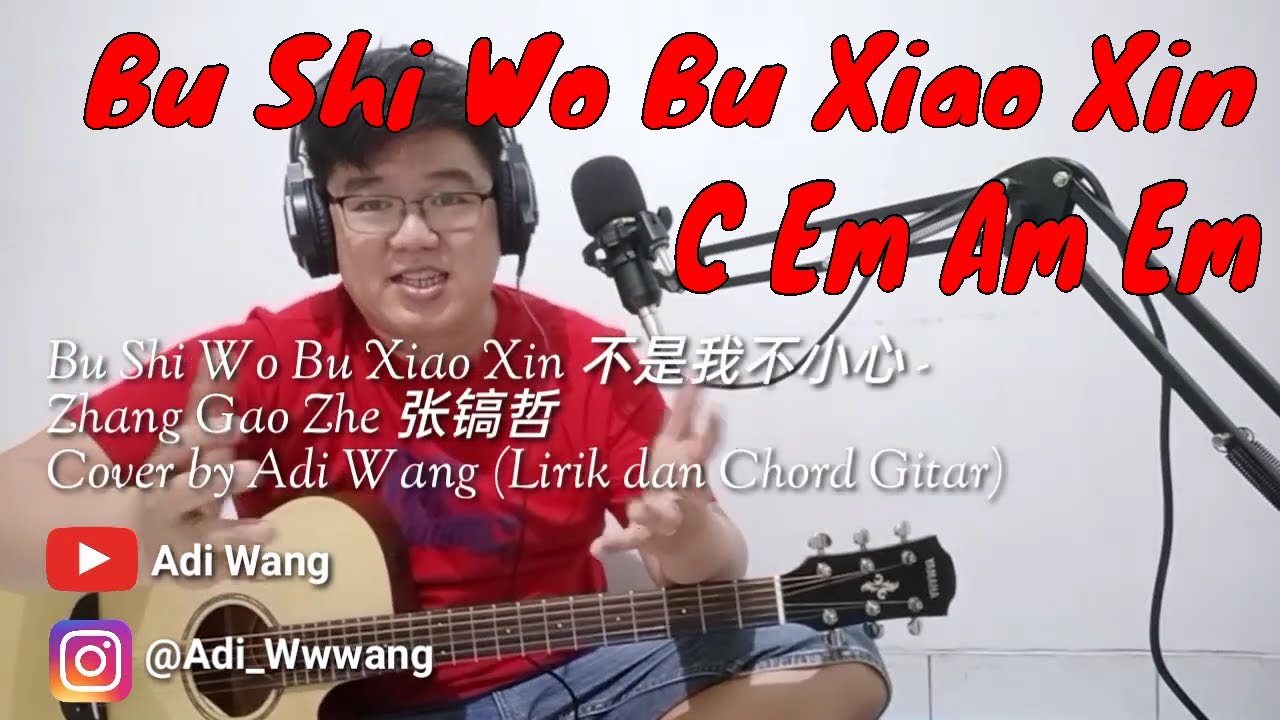 Bu Shi Wo Bu Xiao Xin 不是我不小心 - Zhang Gao Zhe 张镐哲 Cover by Adi Wang ...