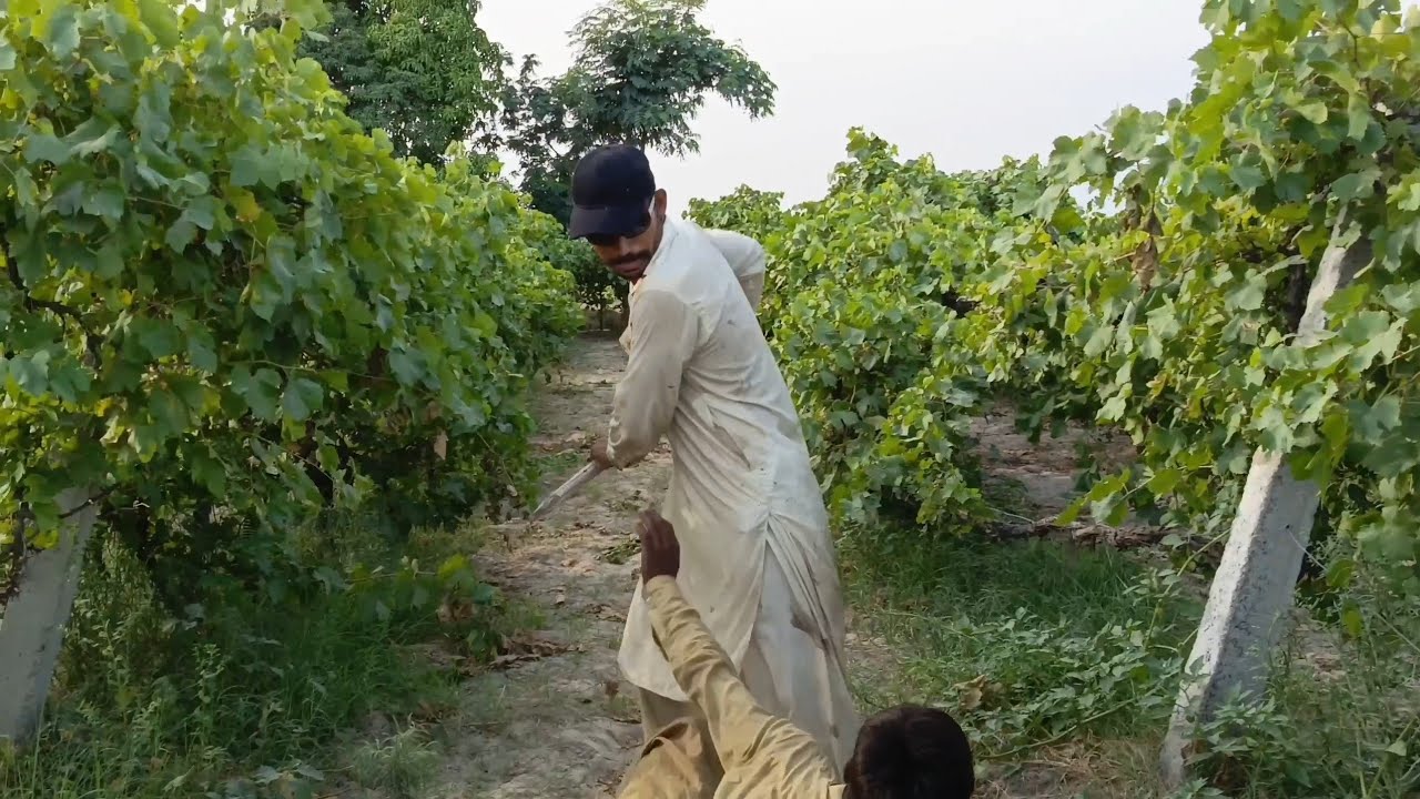 Funny Comedy Video || By Bindas Fun Nonstop 😂 funny @NonstopComedy05 - YouTube