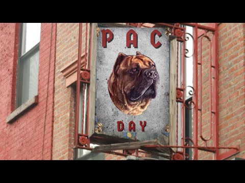 Pac Williams Birthday Party! - YouTube