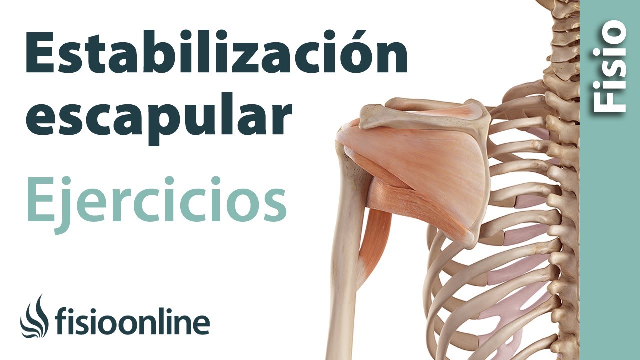 Ejercicios de estabilización escapular nivel intermedio-avanzado - YouTube