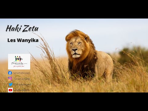 Haki zetu  by Les Wanyika, sms [skiza 7990044] send to 811