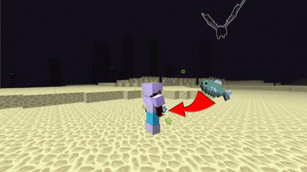 Killing The Ender Dragon with a FISH - YouTube