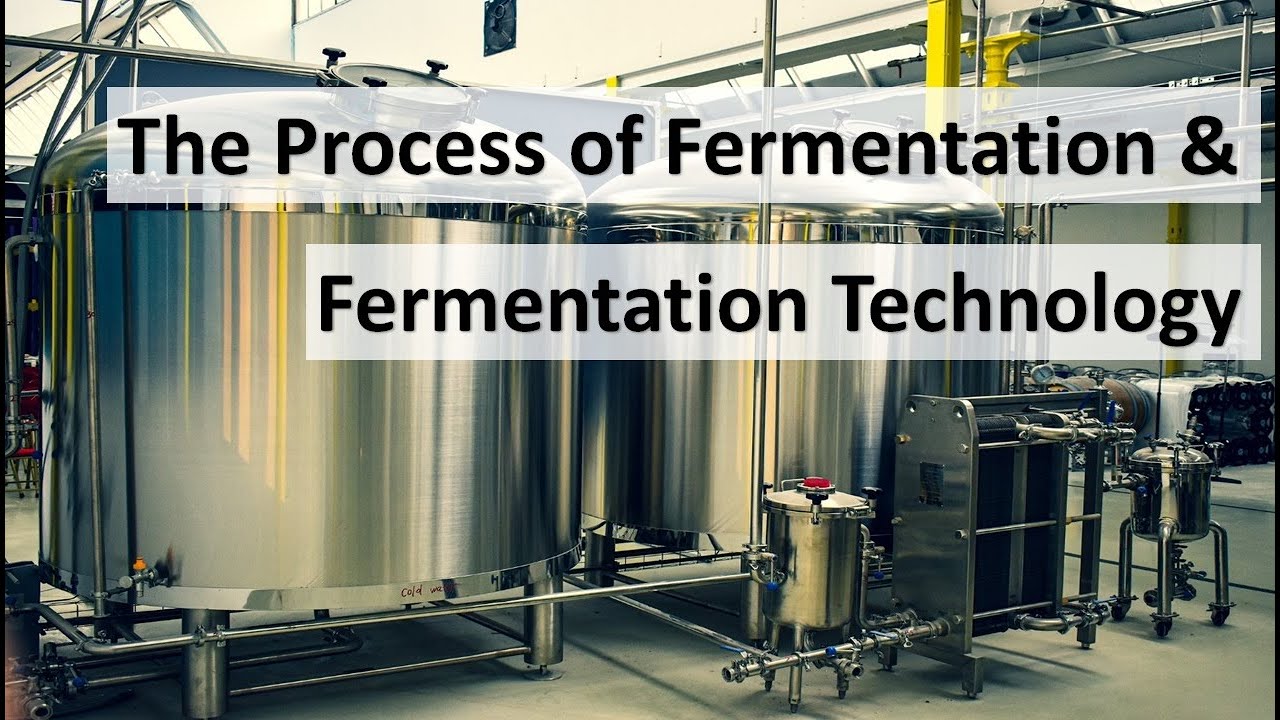 Fermentation Technology - YouTube