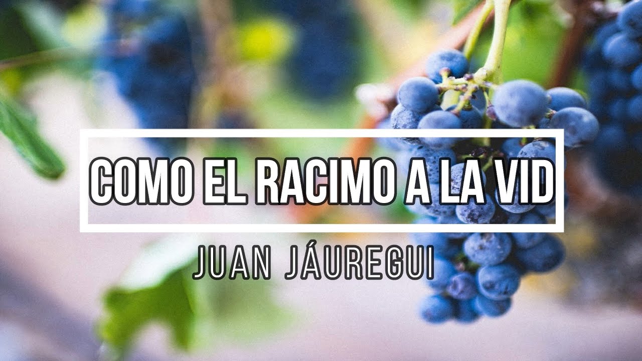 Como el racimo a la vid Acordes - Chordify