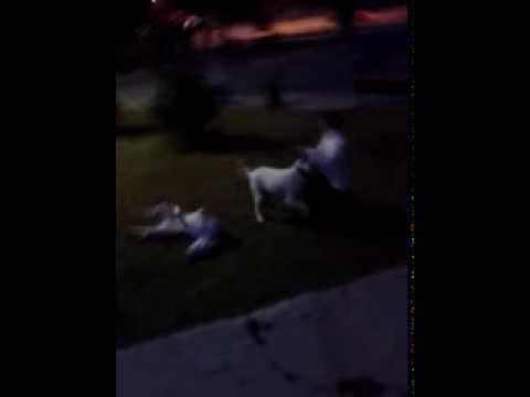 baron metoya kerkiniyo :D