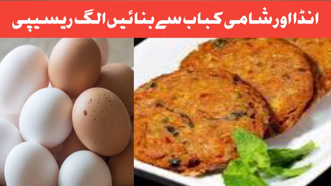 Shami Kabab And Eggs Se banain New Recipe | How To Make shami kabab ...
