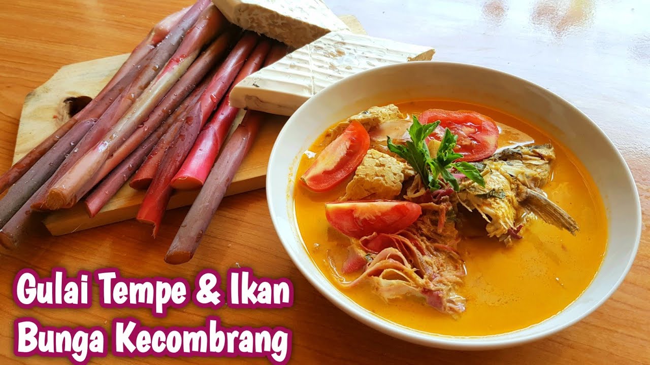 RESEP GULAI TEMPE BUNGA KECOMBRANG - YouTube