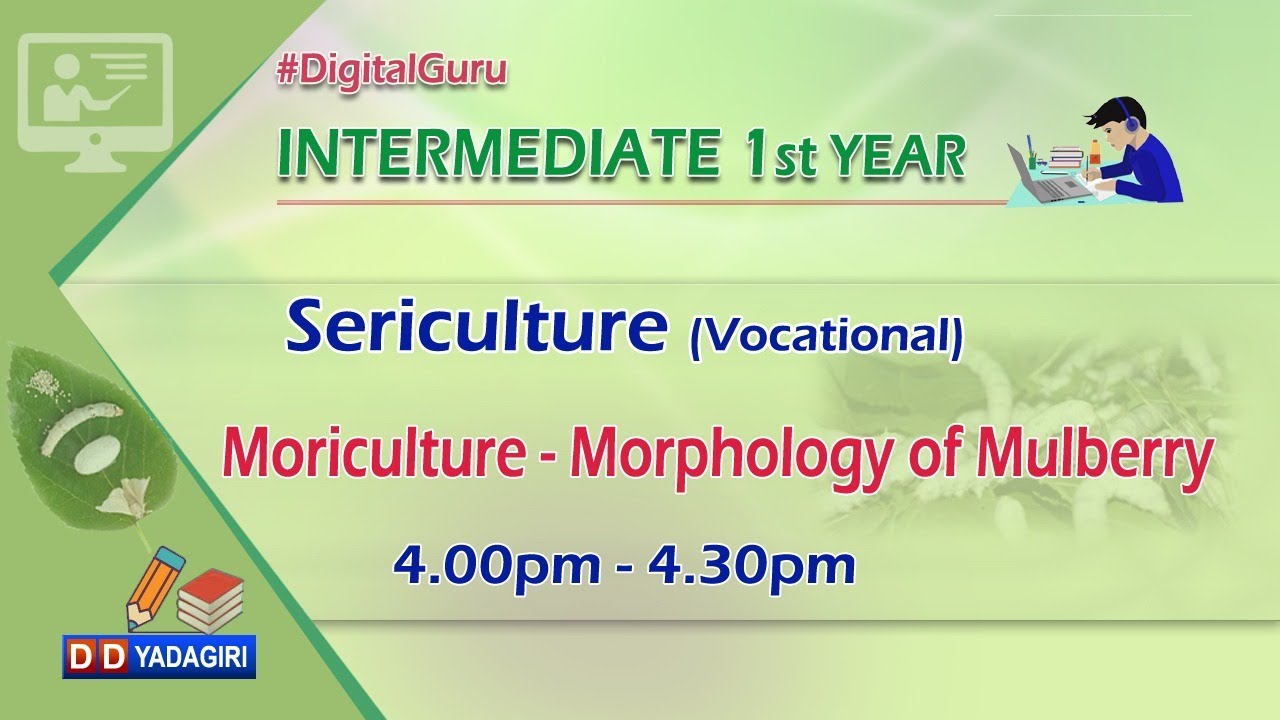 1st Inter Sericulture(VOC) | Moriculture - Morphology of Mulberry ...