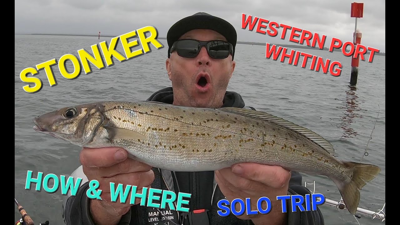 STONKER WESTERN PORT WHITING - YouTube