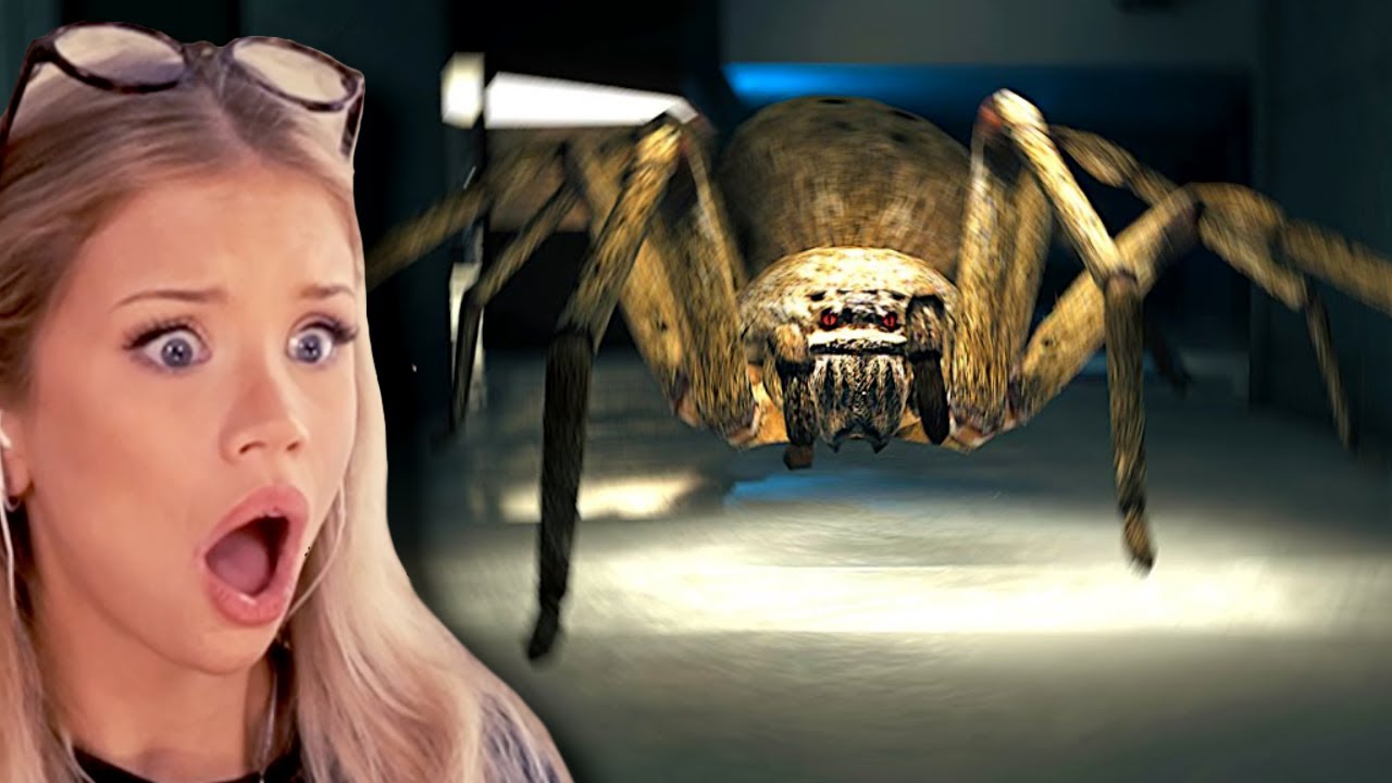 A day in the life of an average Australian - YouTube