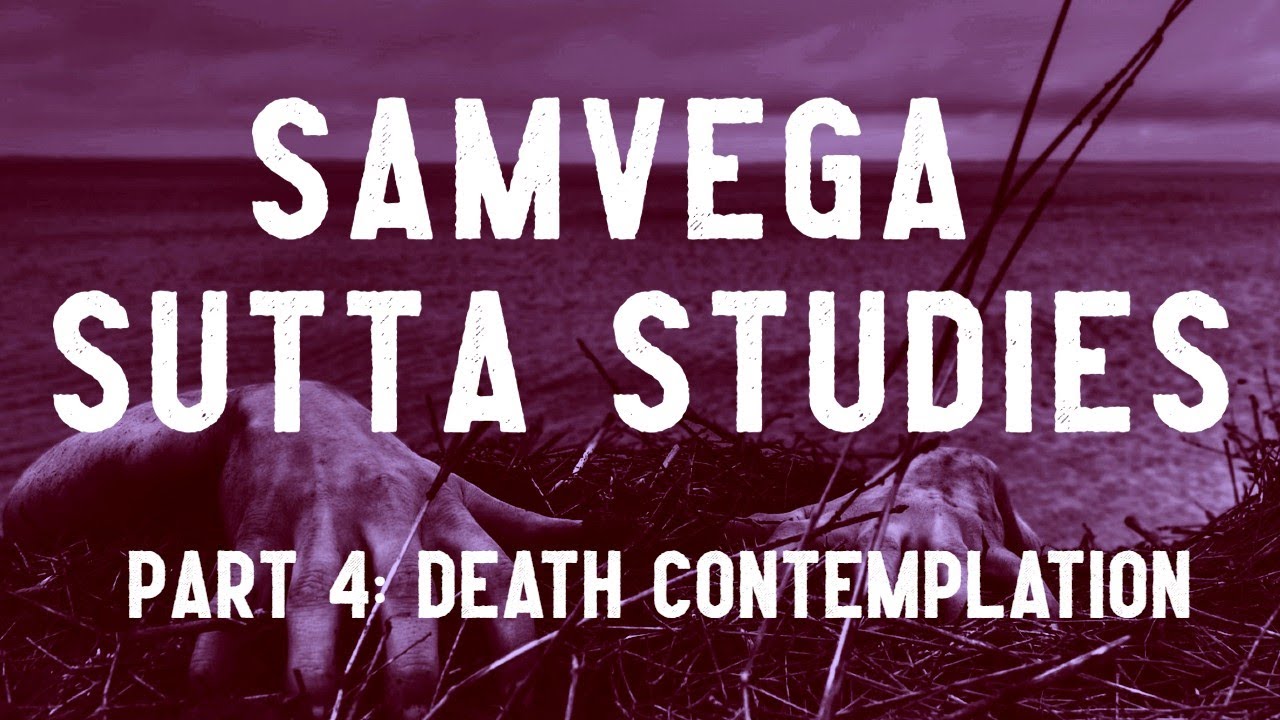 Samvega Sutta Studies Part 4: Death Contemplation with Akaliko Bhikkhu - YouTube