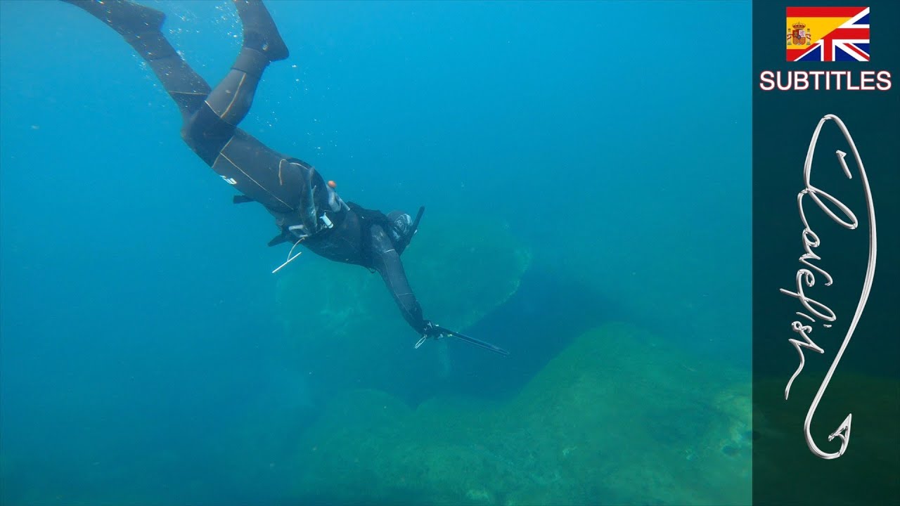 I grossi cefali nel freddo mare di Marzo - YouTube