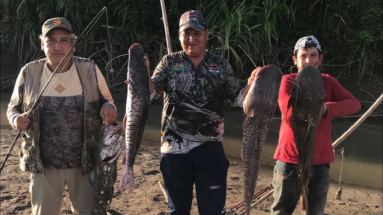 PESCA DE SURUBI (BAGRE RAYADO) EN BOLIVIA - YouTube