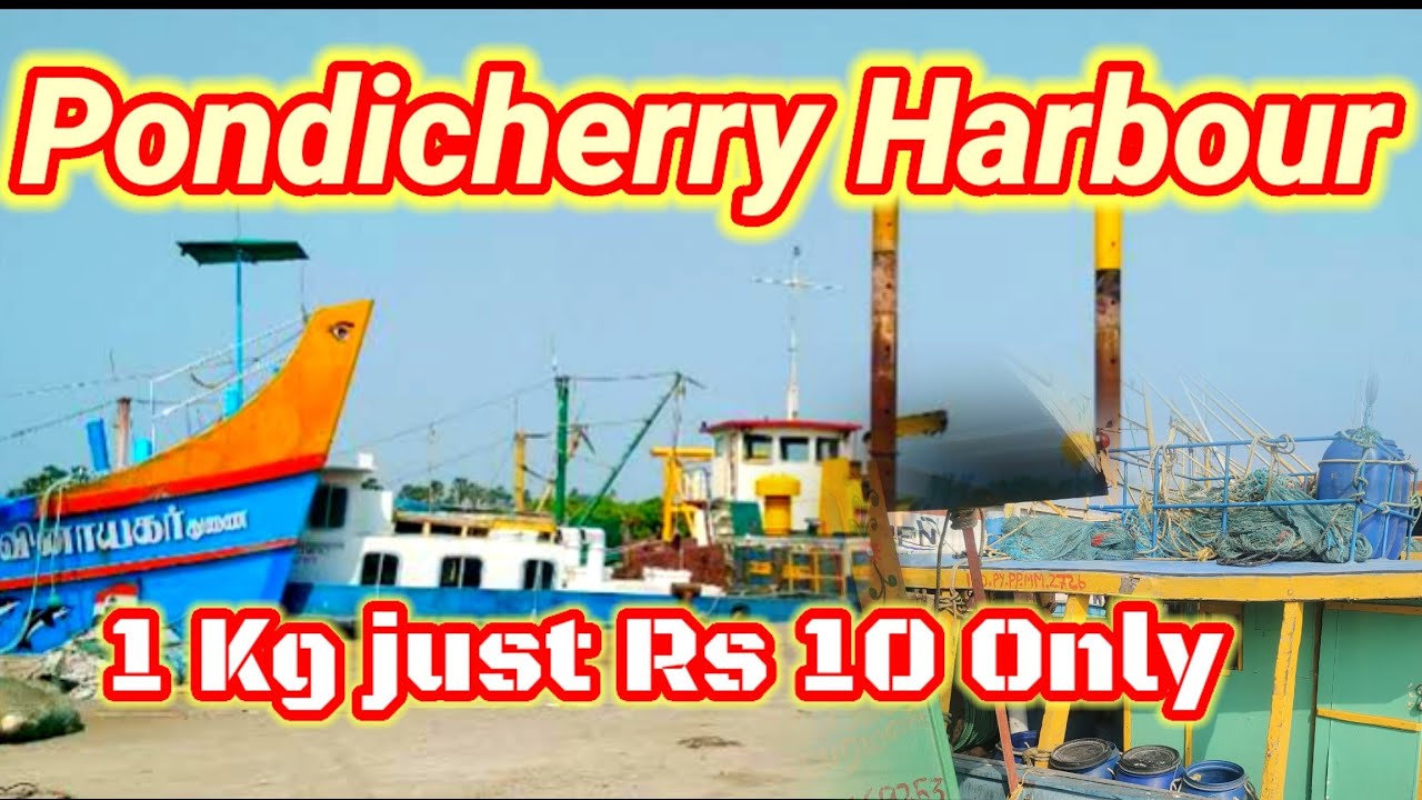 Pondicherry fishing harbour at thengaithittu in Puducherry #pondicherry ...