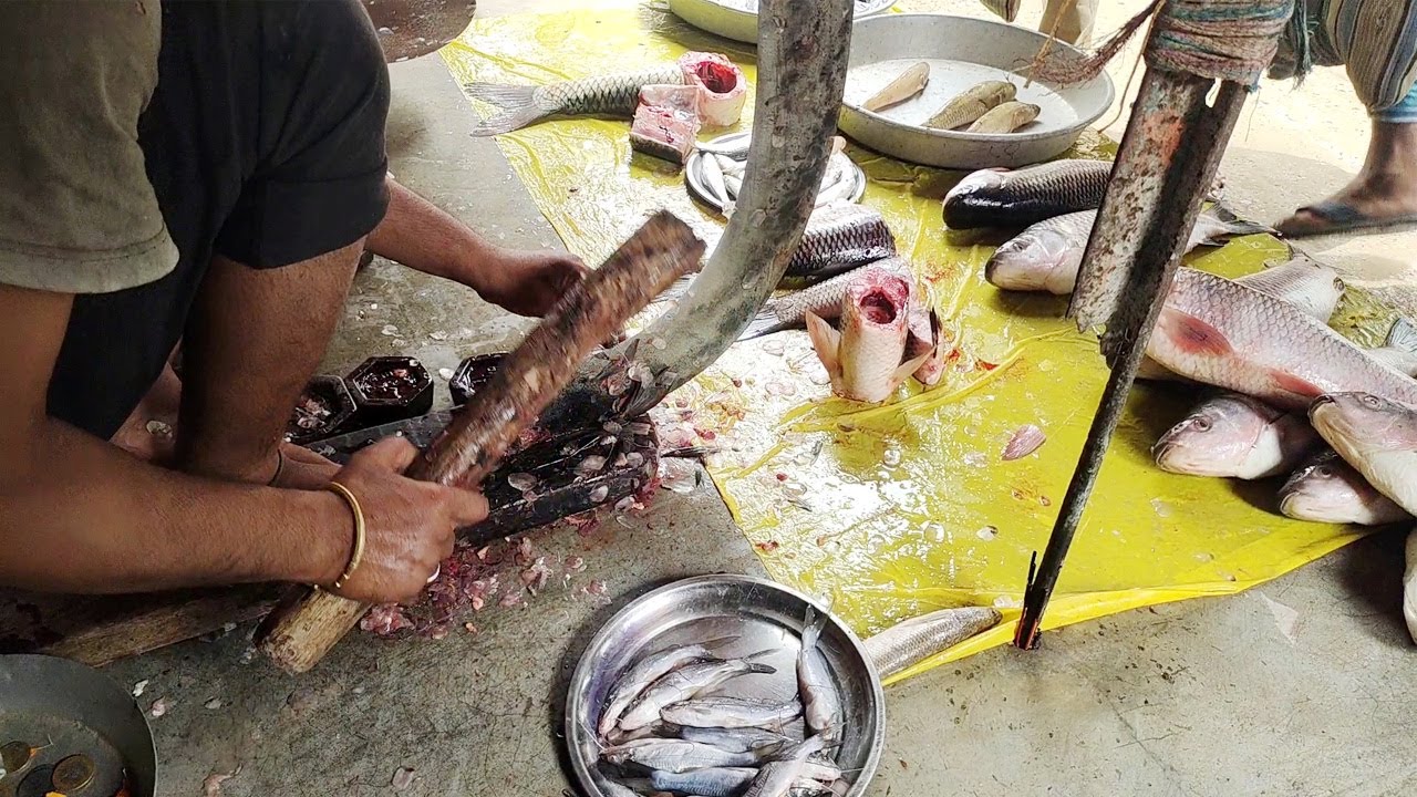 Fish Cutting I এত বড় বটিতে মাছ কেটে পিস পিস I Mach bazar I Big fish ...