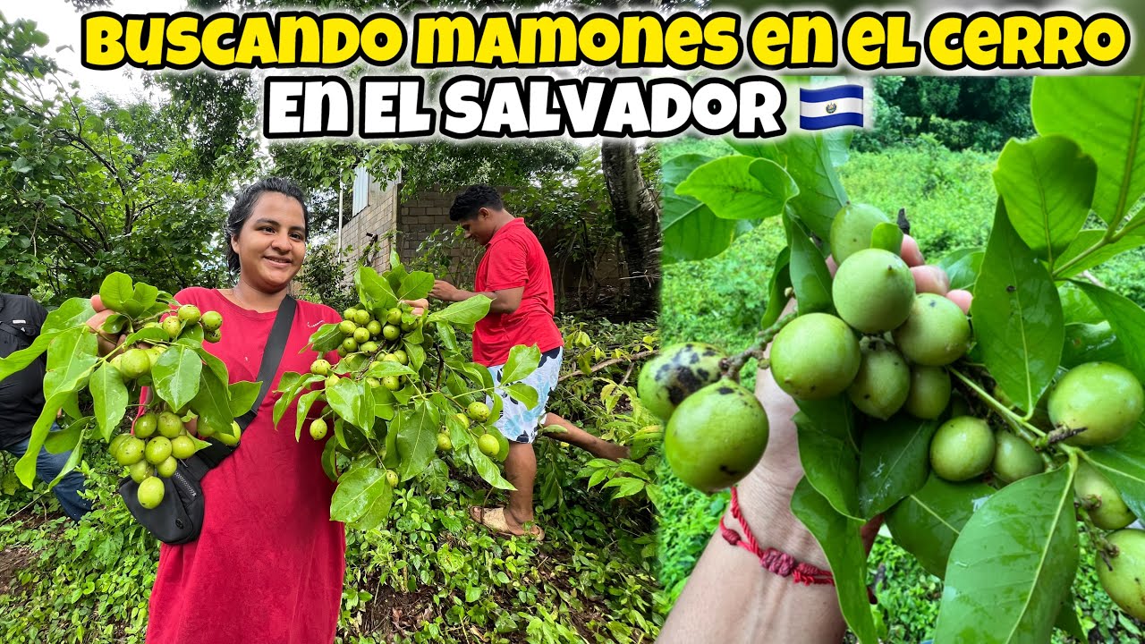 🚨ENCONTRAMOS MUCHOS MAMONES EN EL CERRO EL SALVADOR 🇸🇻 - YouTube