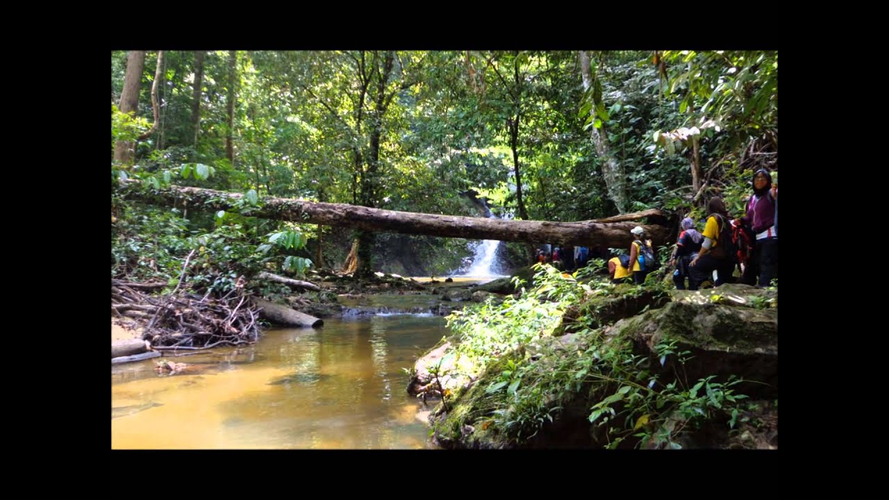 KPERAK HUTAN BELUM - YouTube