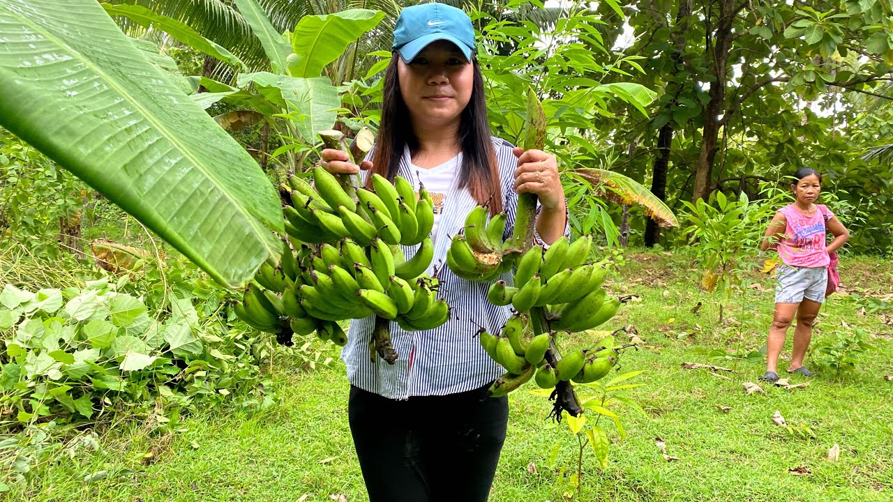 Nag Harvest ako ng Saging sa Juana Farm - YouTube