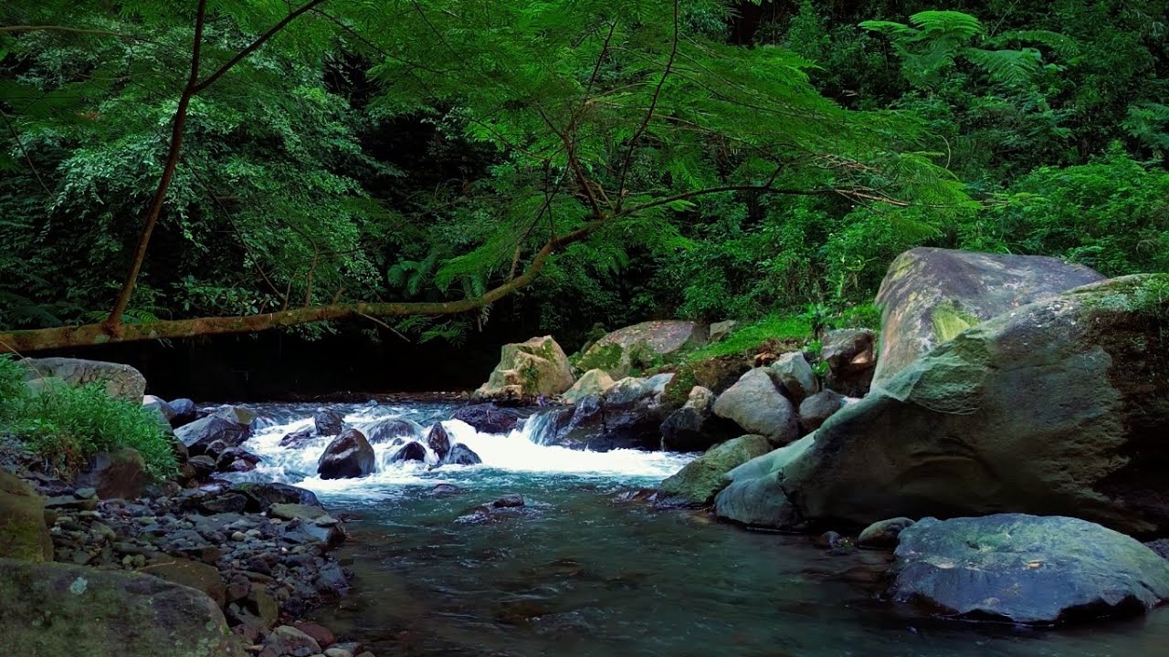 Nature River Vibe - Deep Relaxation & Sleep Ambience | sleep - relax ...