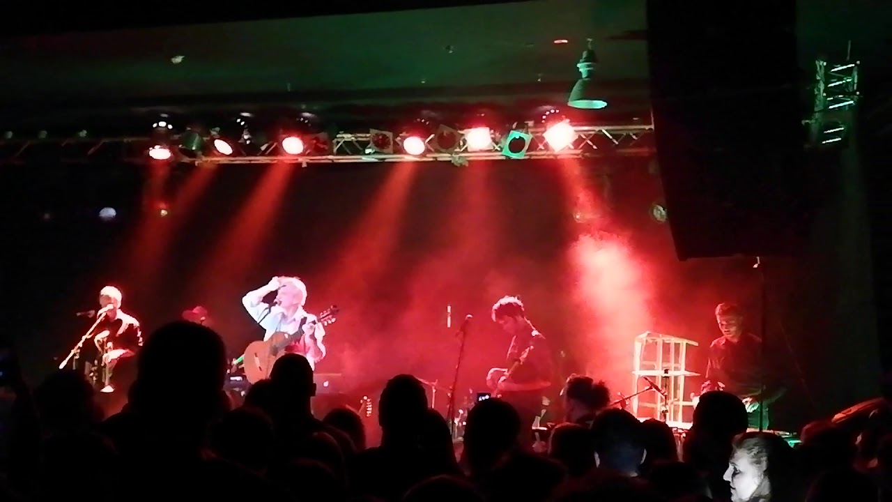 Darko Rundek - Ruke - YouTube