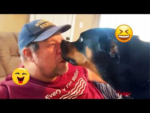 You Will Laugh Nonstop 😂🐶 Funniest Dogs on the Internet 2026! #6
