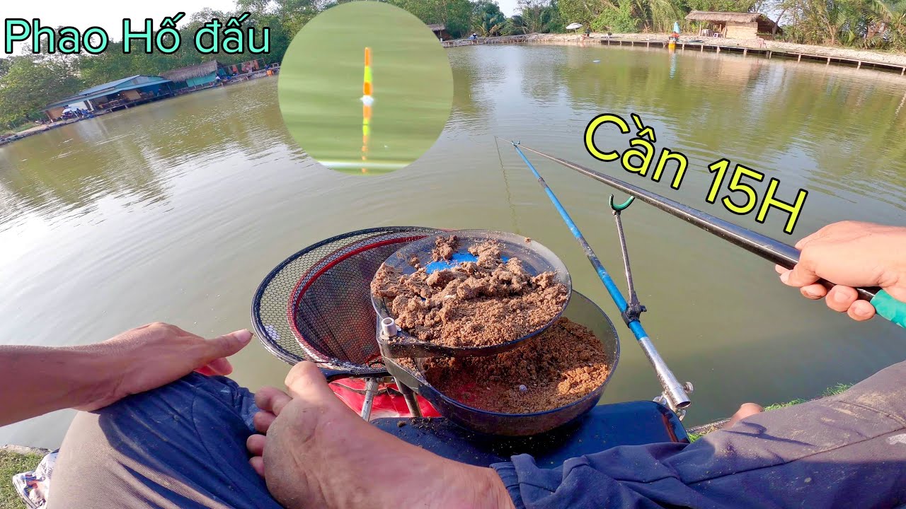 Câu cá kiểu Trung Quốc bằng cám DF, cần câu TORO 15H | DUY FISHING SAI ...