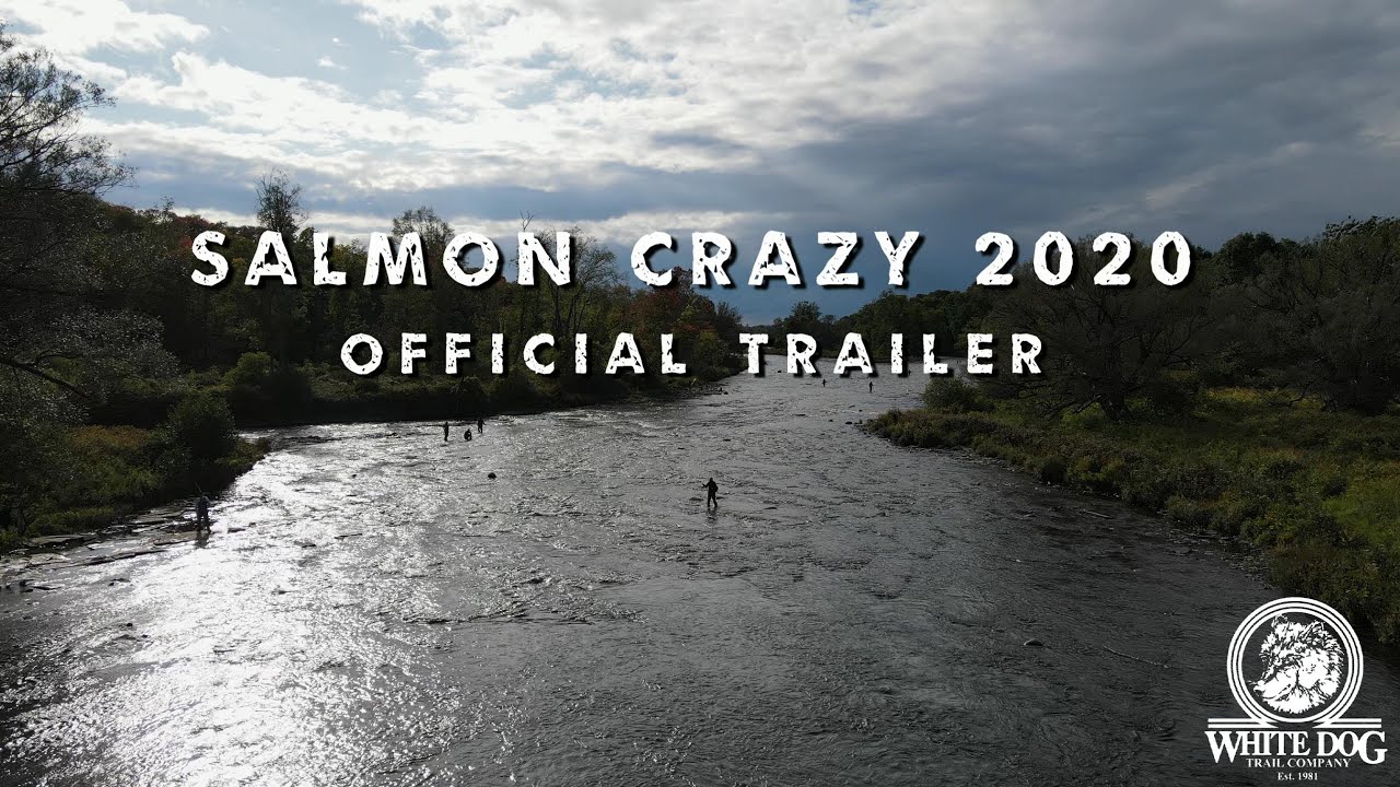 SALMON CRAZY | OFFICIAL TRAILER | Salmon River 2020 - YouTube