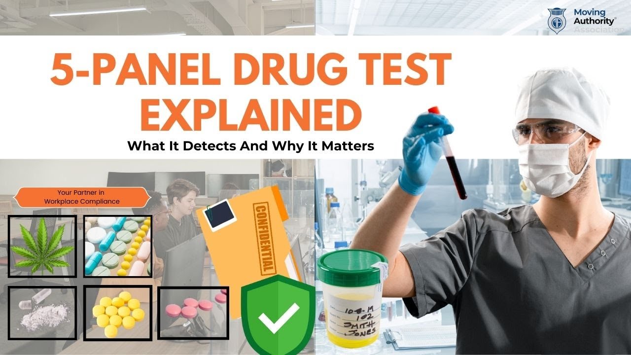 What Is a Five-Panel Drug Test and What Does It Detect? - YouTube