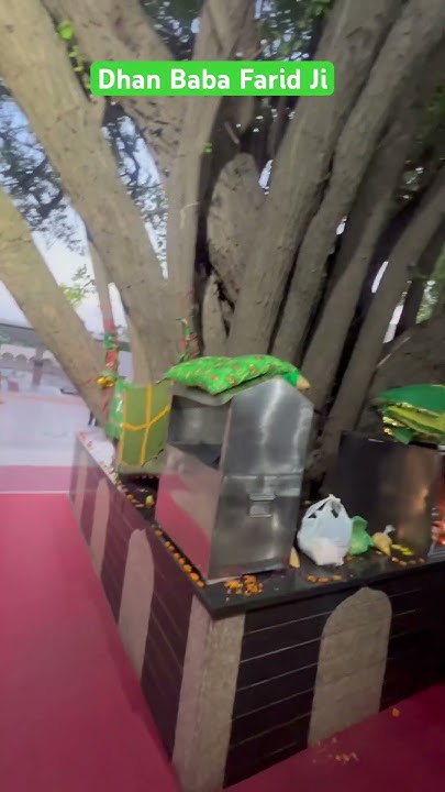 Dhan Baba Sheikh Farid Ji #waheguru #simran #nitnem #babafarid #namjap ...